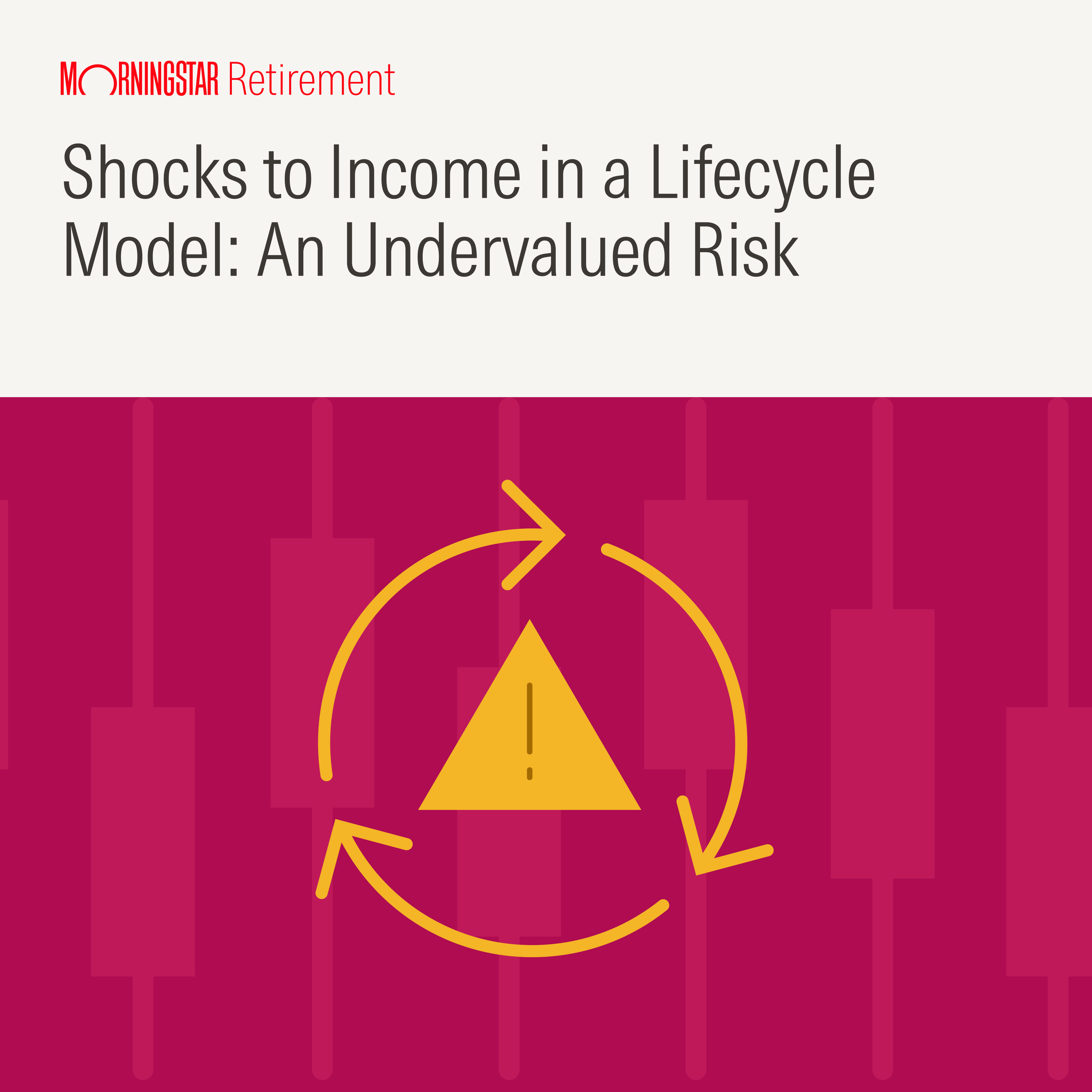 Shocks to Income in a Lifecycle Model | Morningstar